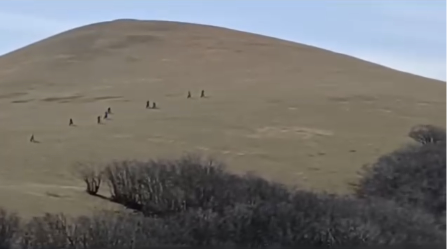 Moto immortalate in una Zona protetta umbra. Cai: «Emendamento produrrà ...