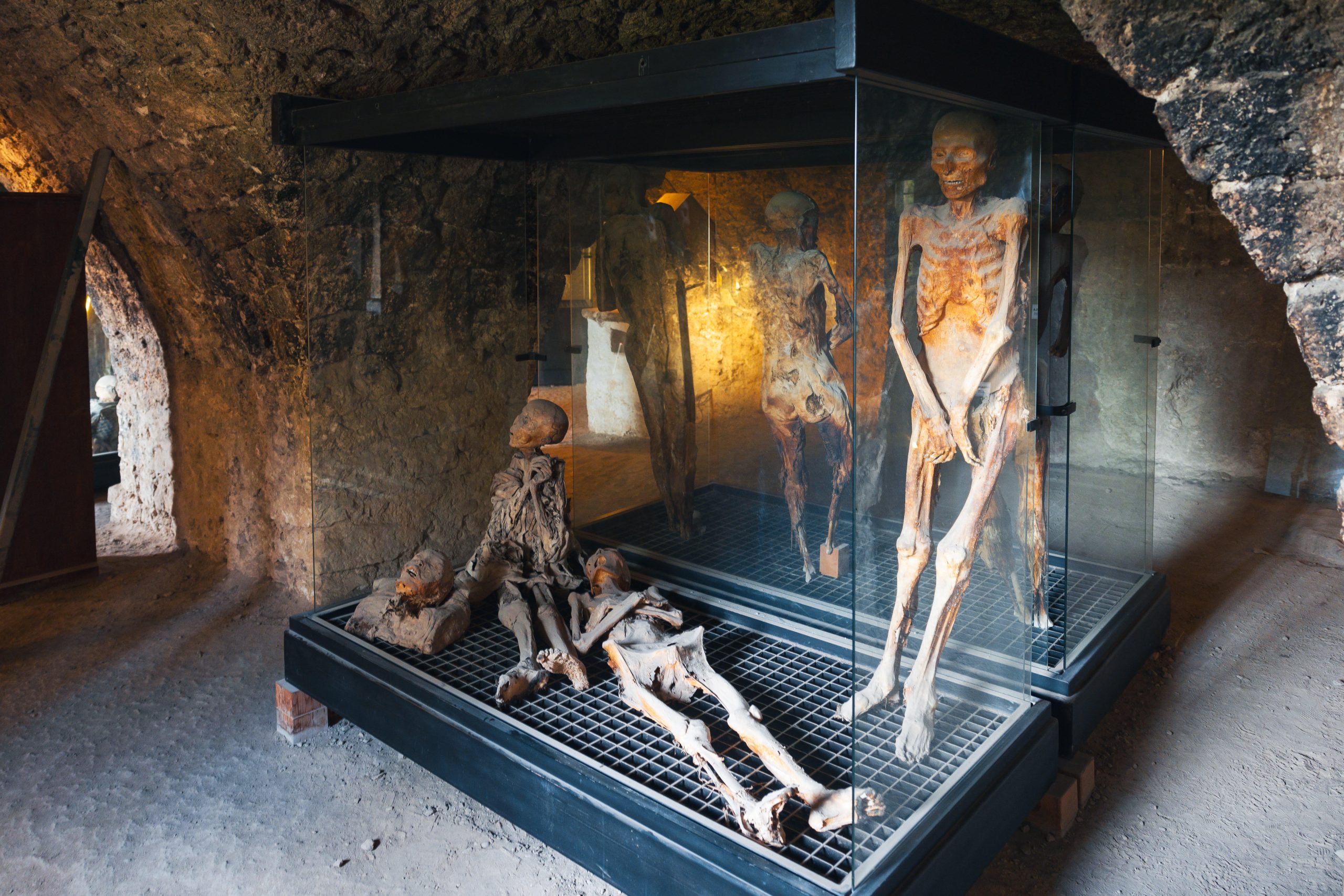 Visite più coinvolgenti e accessibili: rivoluzione digitale al museo ...