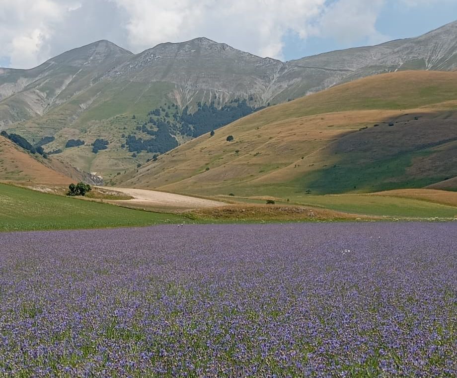 Castelluccio di Norcia, riapre la strada provinciale chiusa per rischio ...